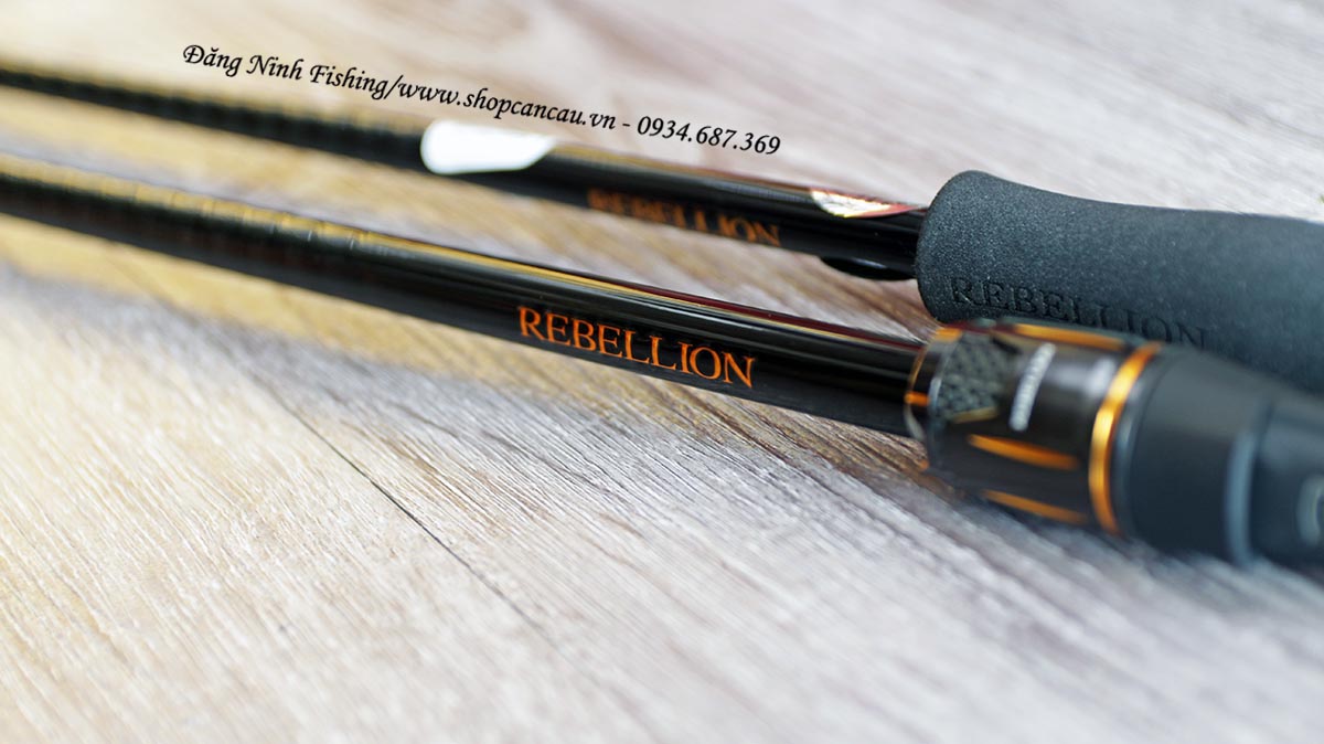 Cần câu lure Daiwa Rebellion - Kẻ nổi loạn 2020